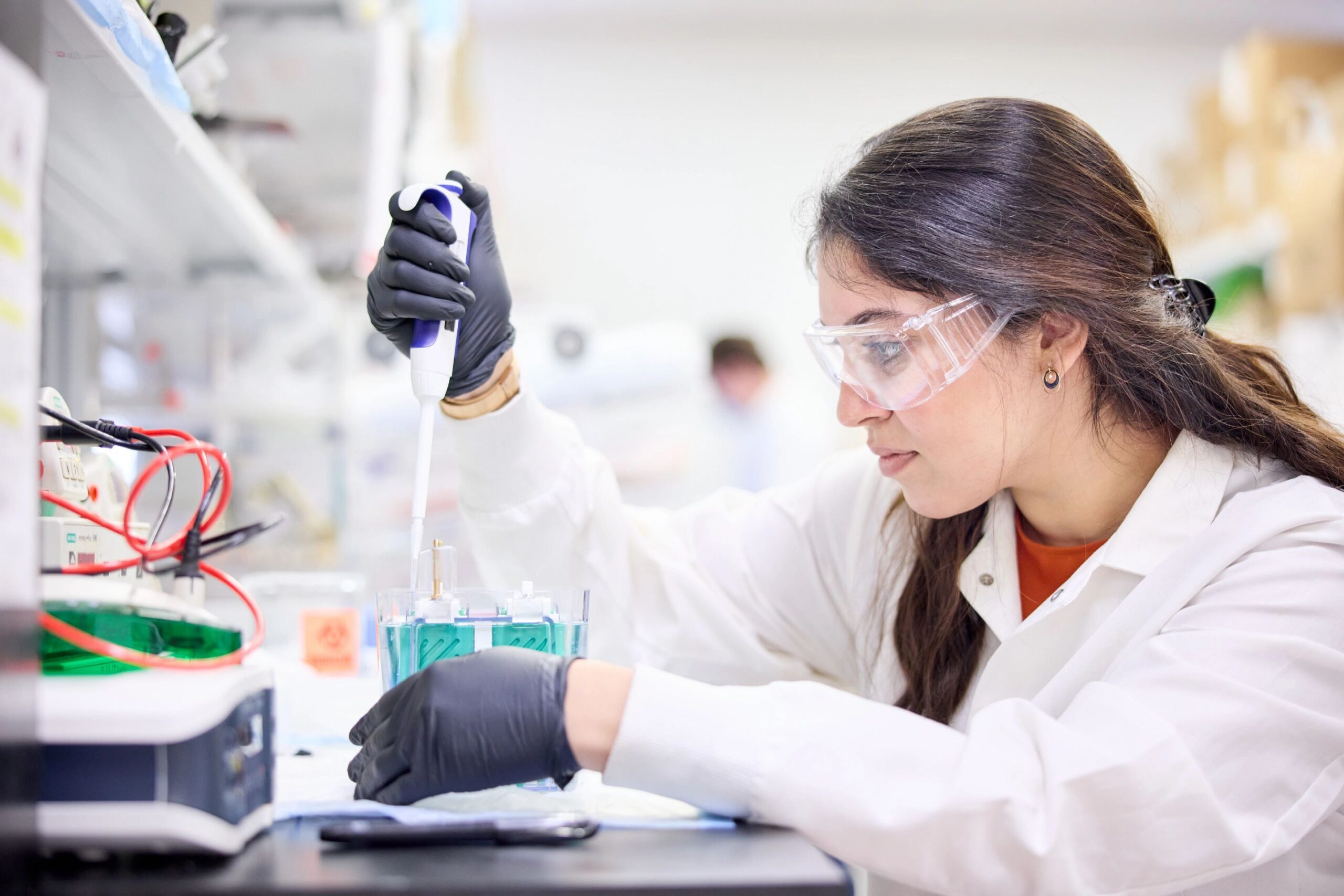 While on OPT: Maintaining Valid Immigration Status - Office for International Students & Scholars