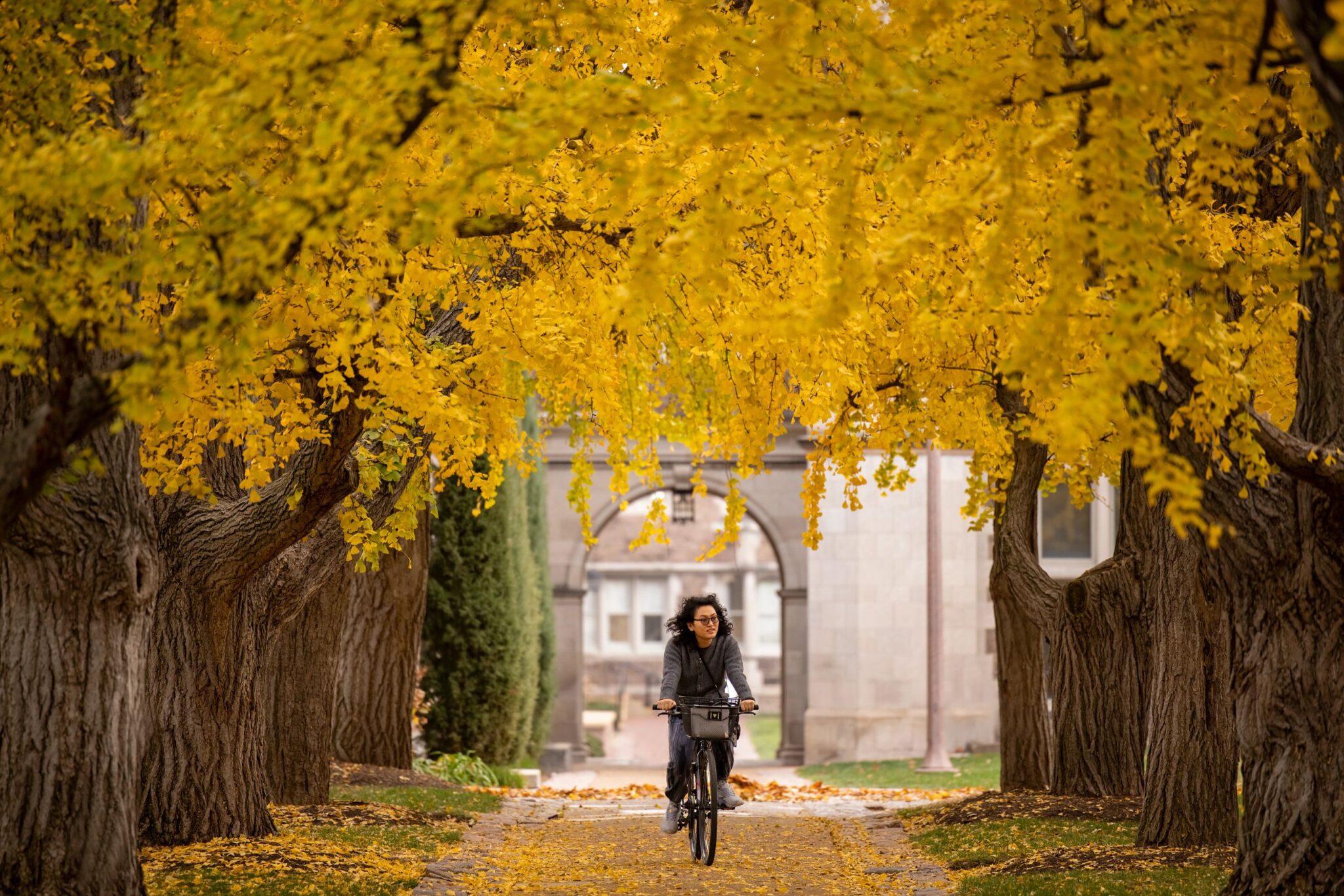 Life at WashU: Embrace Your Academic Journey - Office for International ...