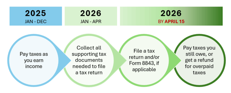 Taxes in the U.S. Understanding Your Obligations